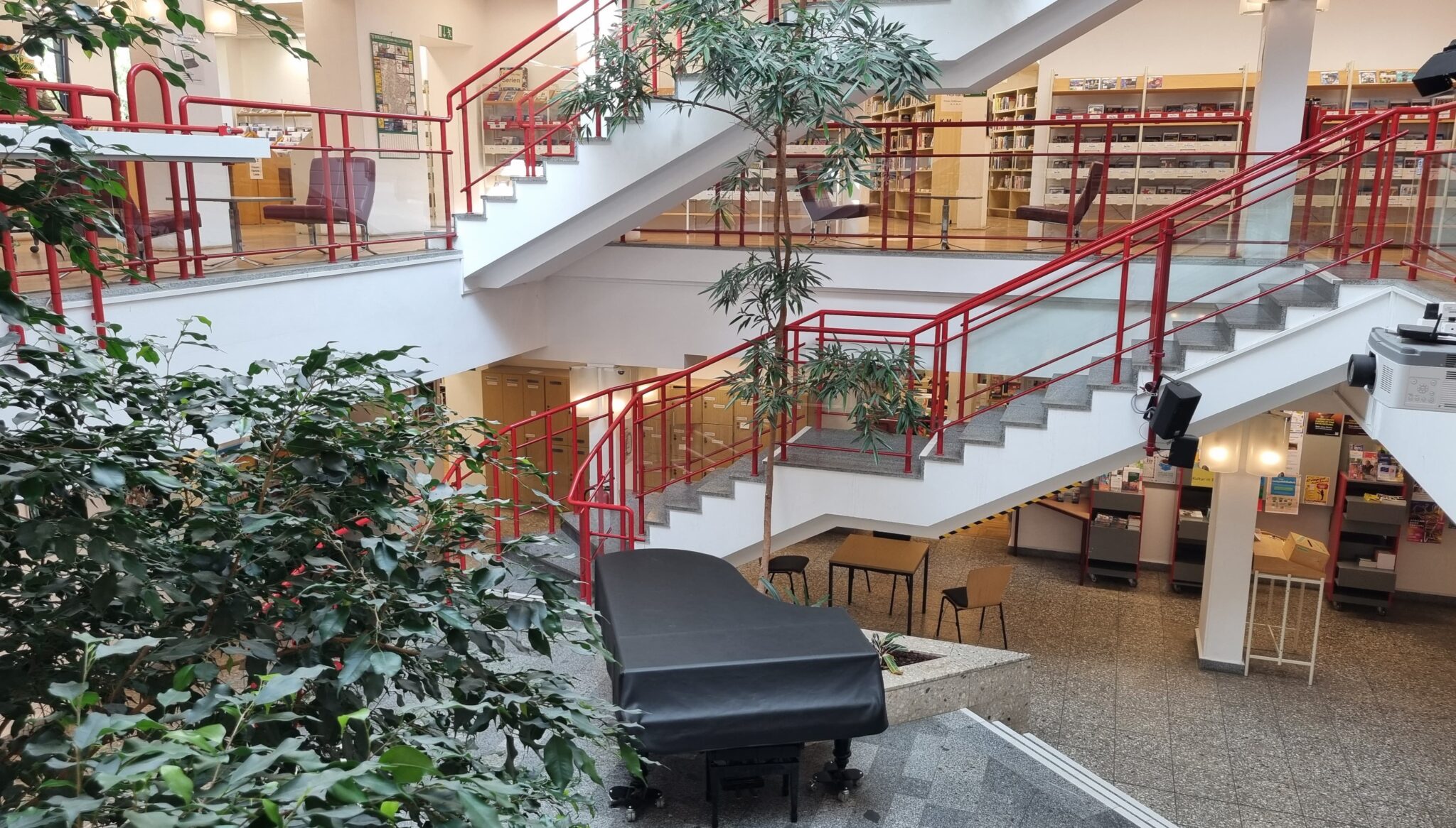Gesprächsreihe in Marzahn-Hellersdorf: Mit „Die Allee“ auf den Spuren ...